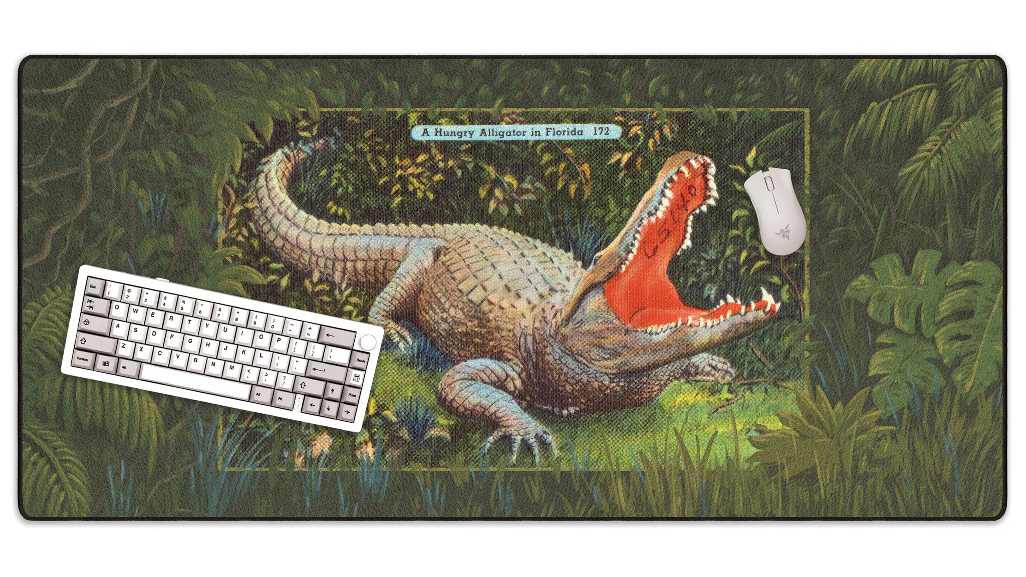 Hungry Alligator